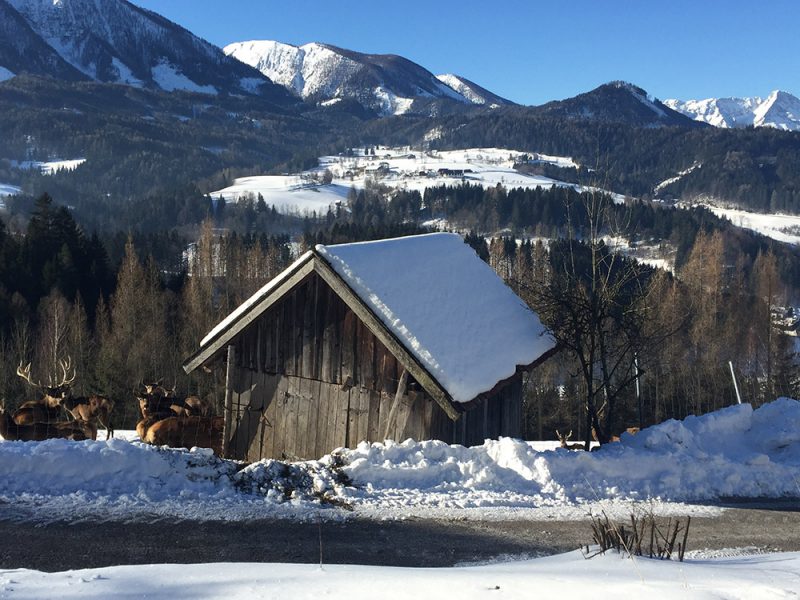 Mein Recht - Der ATV Rechtsextperte Dr. Christian Horwath